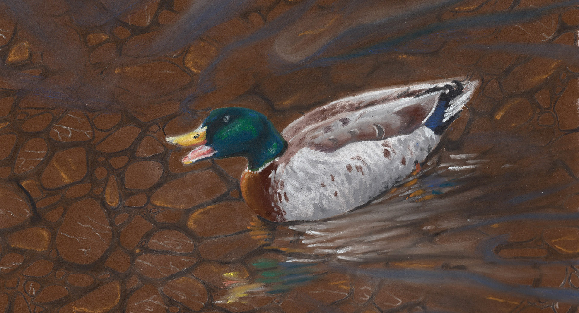 Mr. Goose | ‘Captain’ Drake